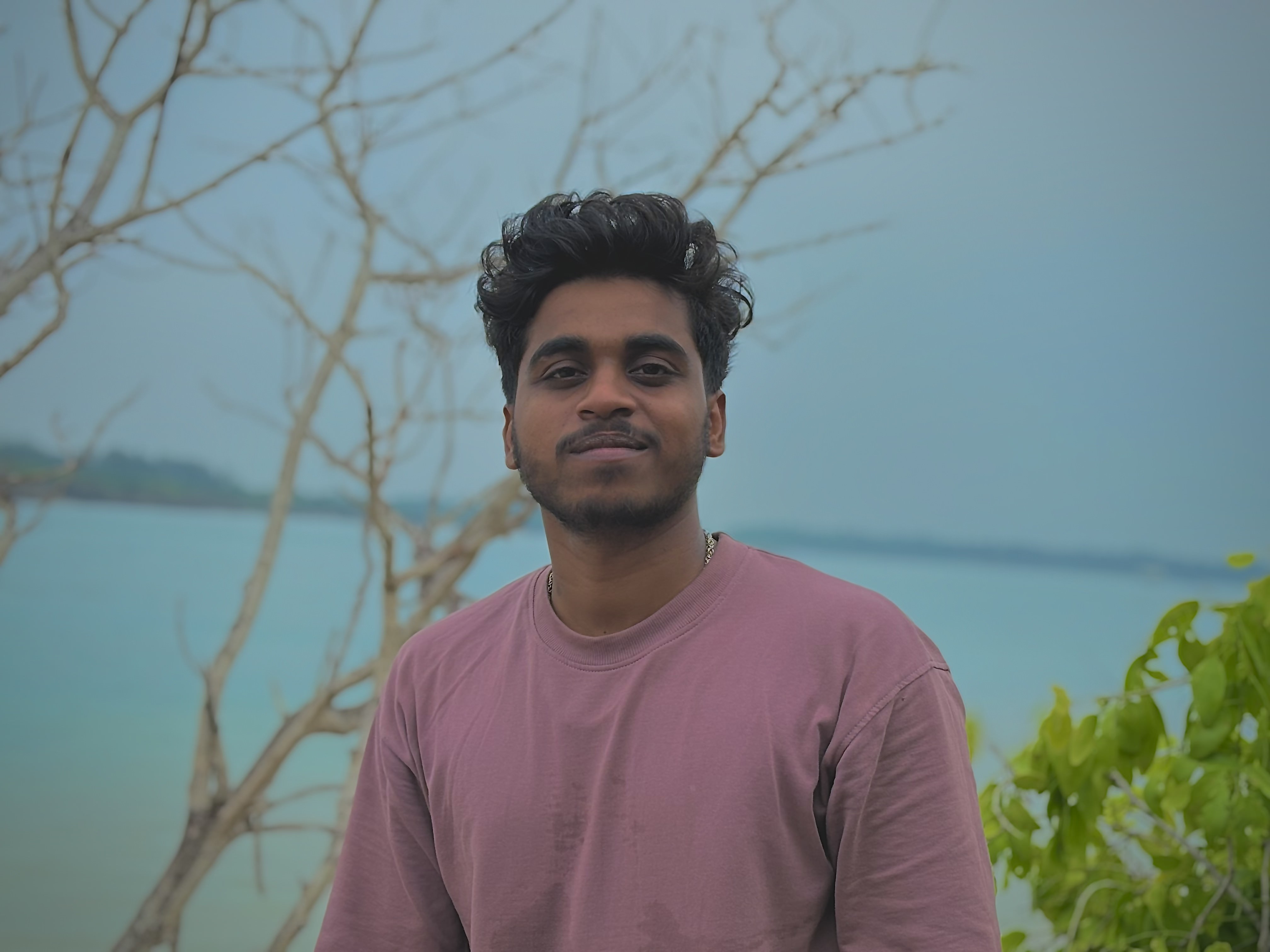 Dinesh Richard - A Game Dev